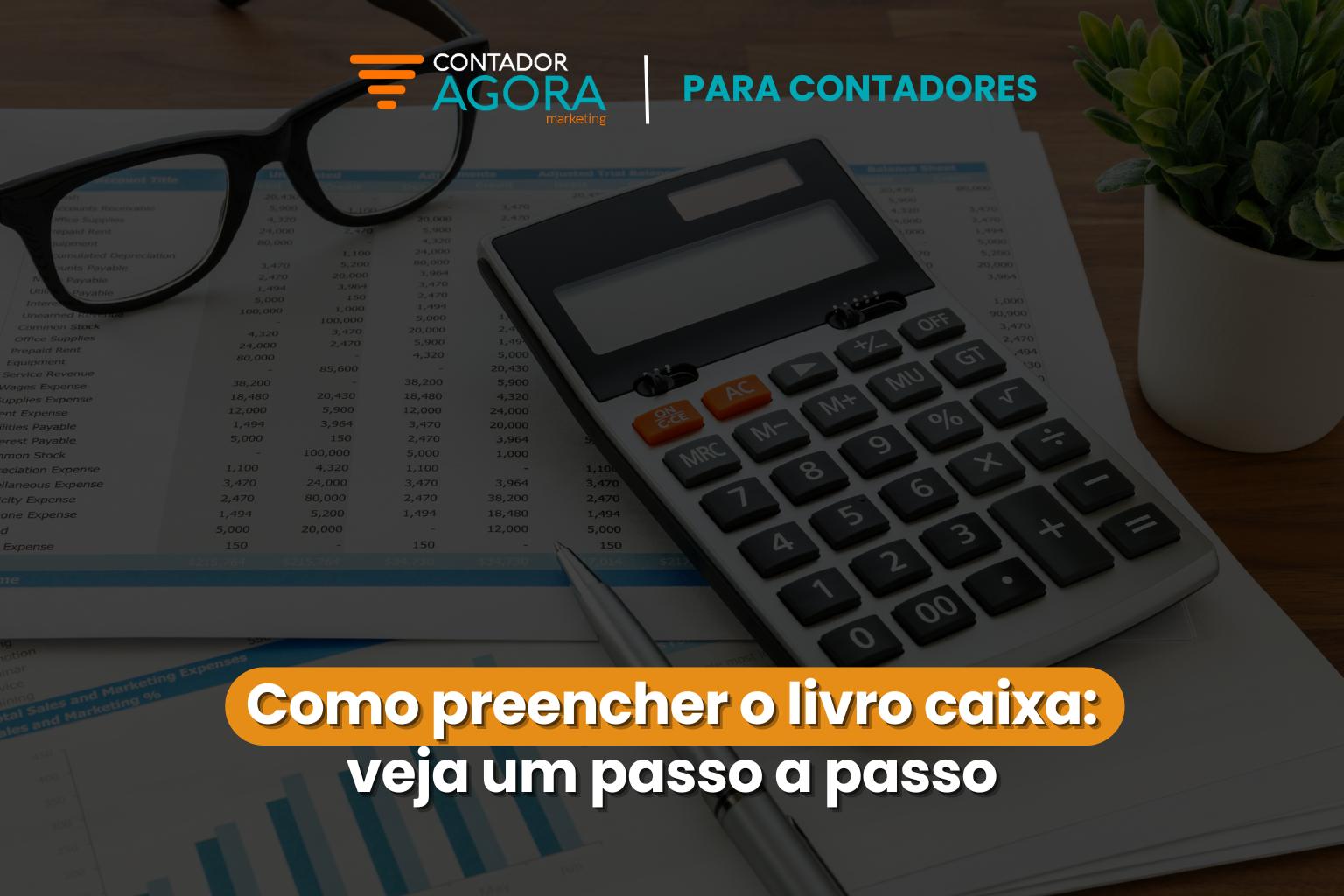Como preencher o livro caixa: veja um passo a passo - Contador Agora